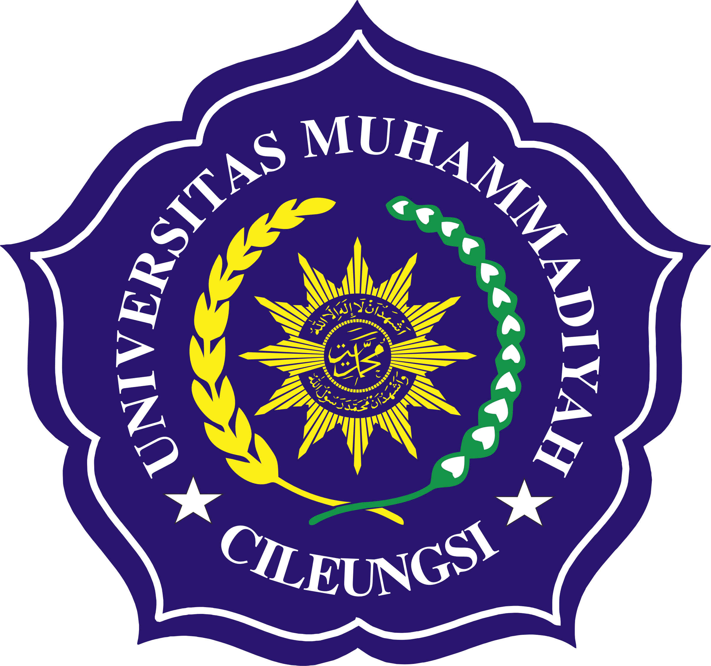 e-Research UMCI